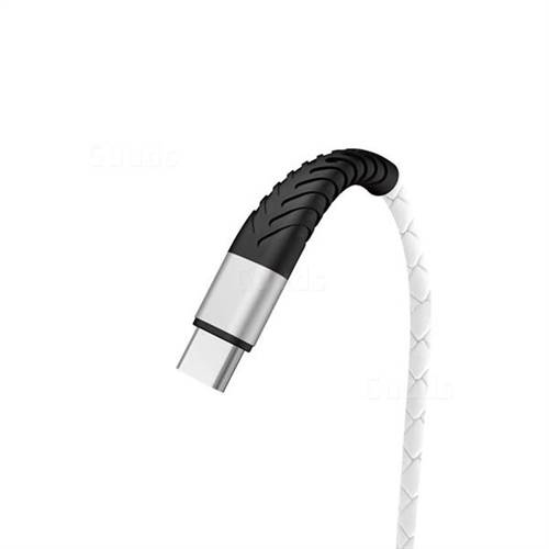 Fish Bone Line 100cm 3.0A Fast Soft Type-C Data Charging Cable - White ...